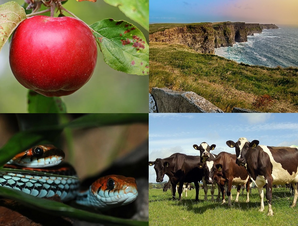 A Shift In Scientific Worldview – Part 2: Donald Hoffman’s Conscious ...
